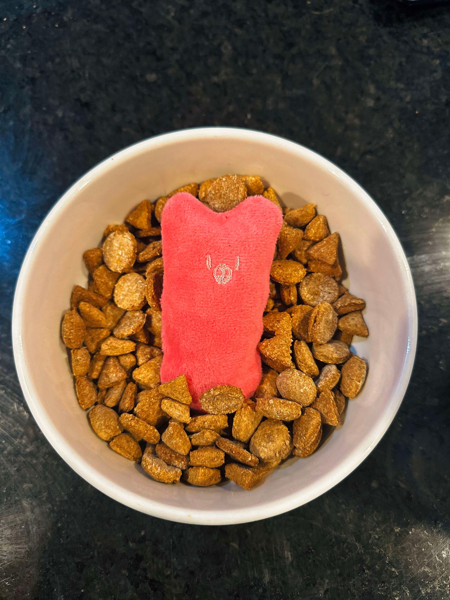 Cat Treats – Treat Me Too Dog Treats
