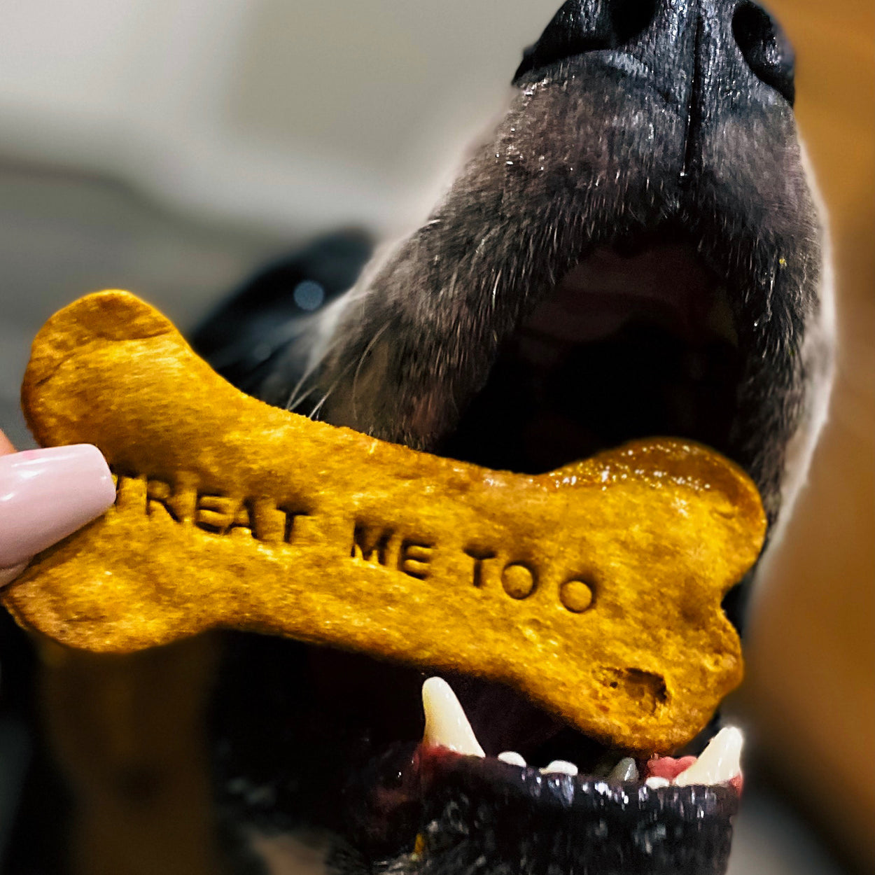 Treat Me Too Dog Treats