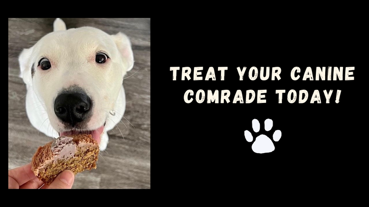 Treat Me Too Dog Treats